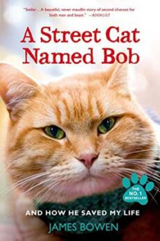 15 Fantastic Books About Cats For Adults Sure To Make You Purr - The ...