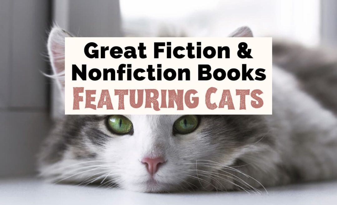 15 Fantastic Books About Cats For Adults Sure To Make You Purr - The ...